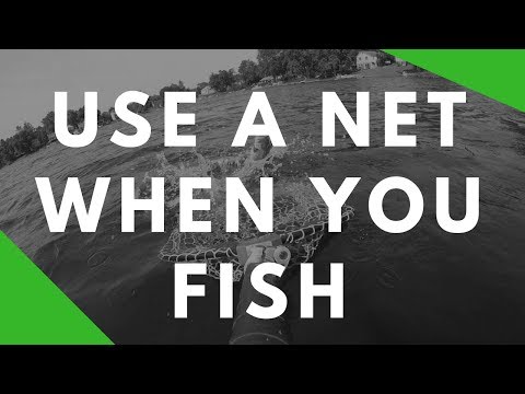 Quick Tip - Why I use a net when I fish