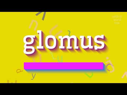 How to say "glomus"! (High Quality Voices)