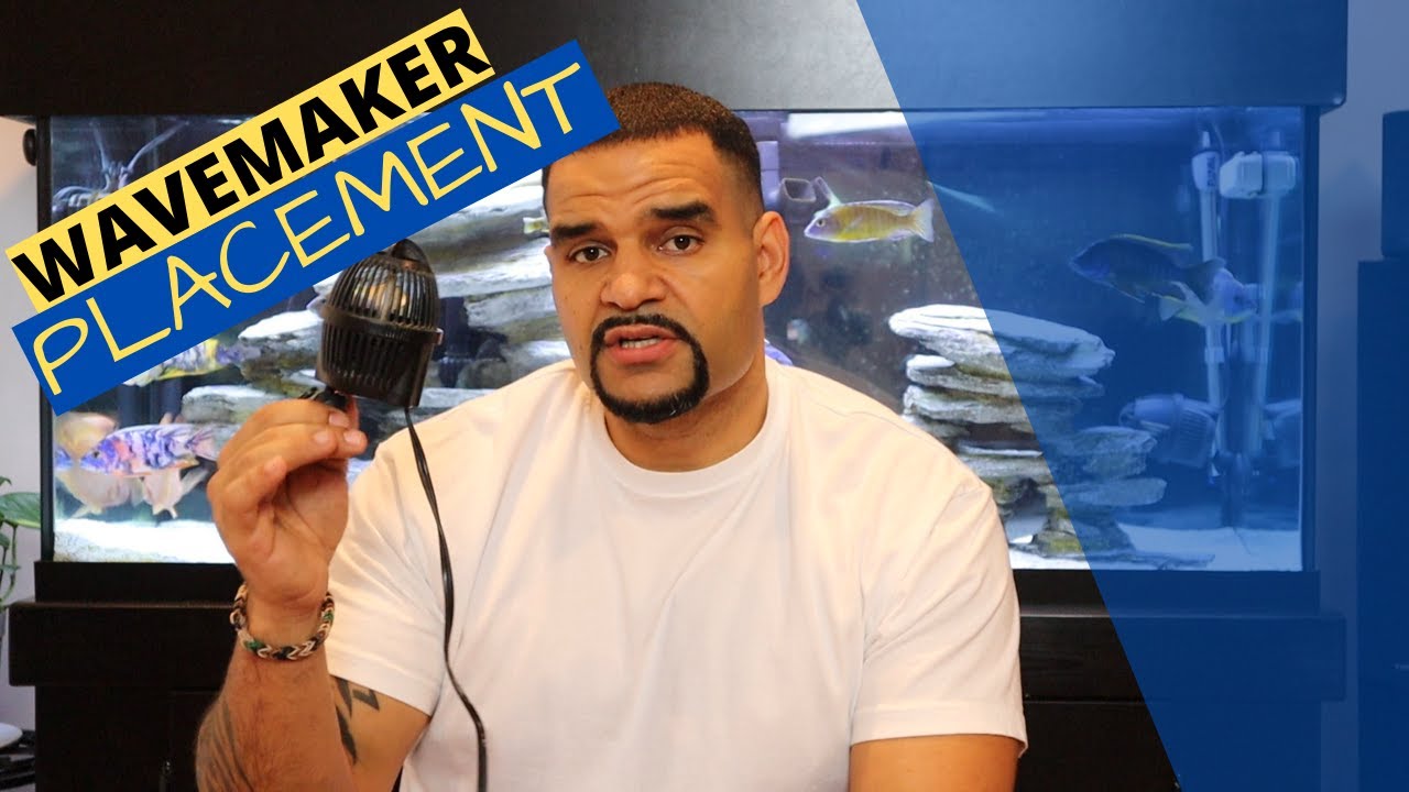 The BEST Wave Maker Position for Perfect Water Movement