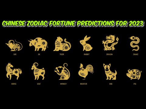 Chinese zodiac fortune predictions for 2023 | 2023 Chinese Zodiac | All 12 Animal Signs Forecast