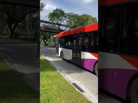 SBS Transit Scania K230UB Euro IV Gemilang SBS8467K On Service 73
