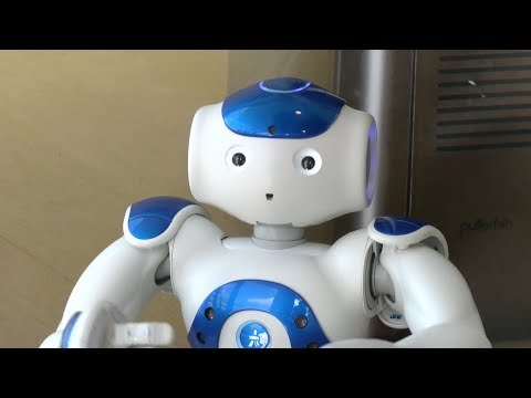 Meeting a Social Robot