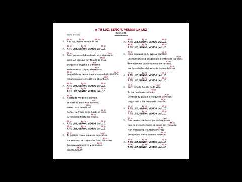 A Tu Luz Señor Vemos La Luz Canto Nuevo 2023 Frases De Amor Y