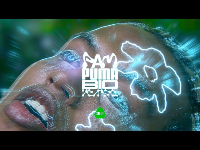 Where to buy the Puma x P.A.M. collection? Price, release date, and ...