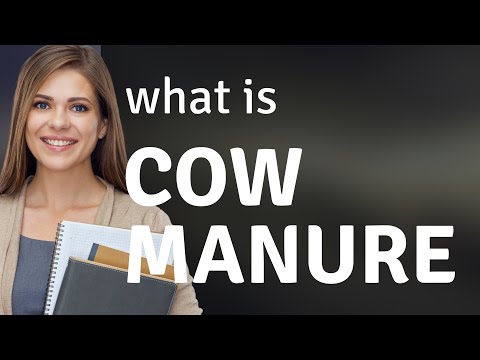 Uncovering the Meaning Behind "Cow Manure"
