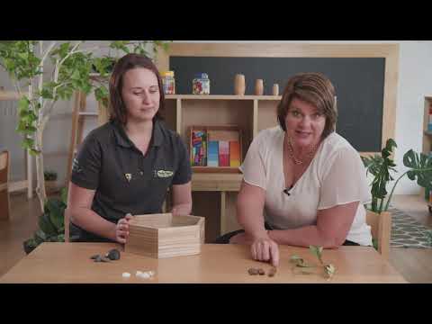 Sorting, Sequencing and Counting: A Simple Maths Experience
