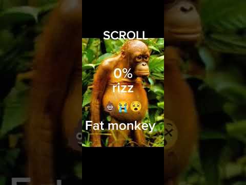 The rizz 🐒🐵 #edit #monkey # Rizz