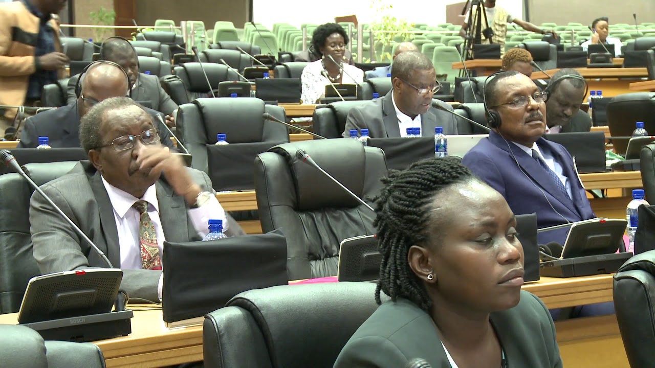 High-level PAP-NEPAD event on Food and Nutrition Security PT2