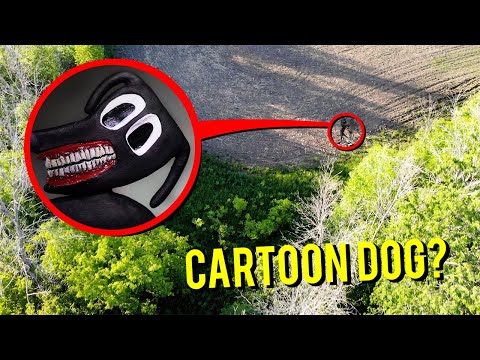DRONE CATCHES CARTOON DOG AT HAUNTED FOREST!! (WE FOUND HIM!)