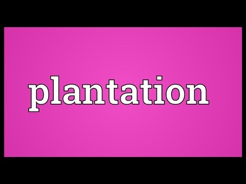 Plantation Meaning
