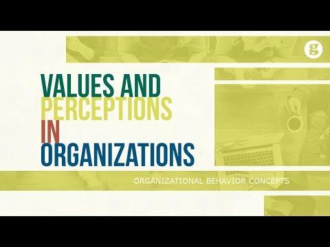 Values and Perceptions in Organizations