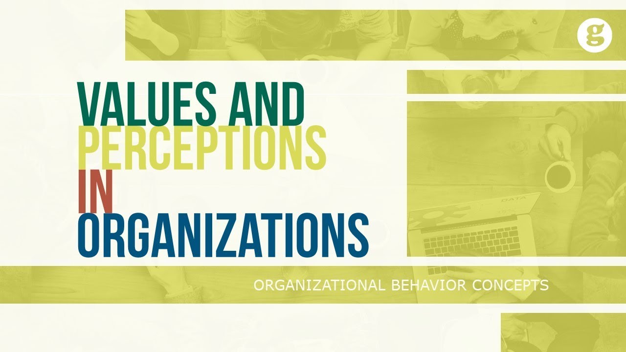 Values and Perceptions in Organizations