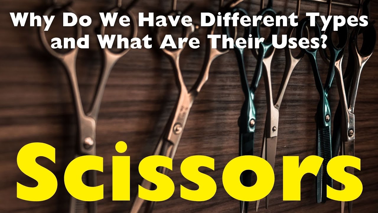 Scissors 101: Which Type Is Right for You?