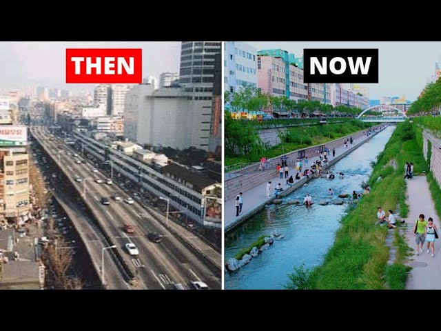 Seoul's Transformation: From Freeway to Urban Green Space | Galaxy.ai