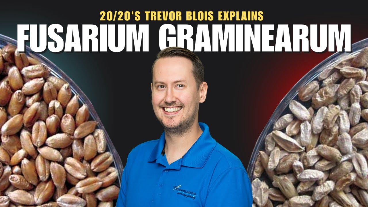 Understanding Fusarium with Trevor