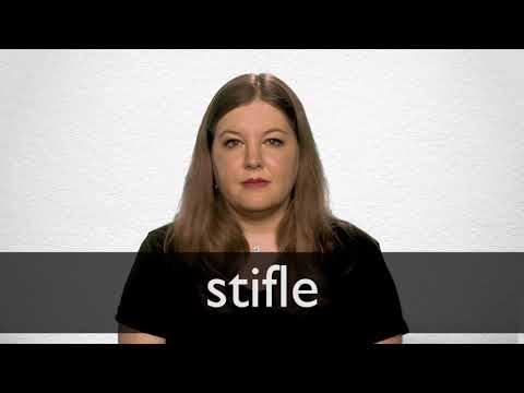 STIFLE definition in American English | Collins English Dictionary