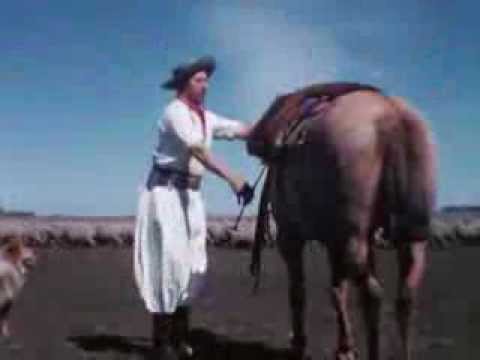 Modern Sheep Dipping 1960 -- The other Ranch Dip