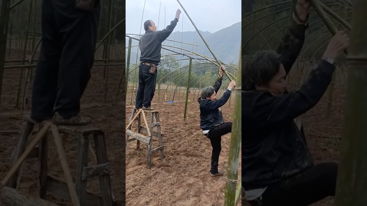 Amazing Building a Bamboo Greenhouse #satisfying @HappyFarm85