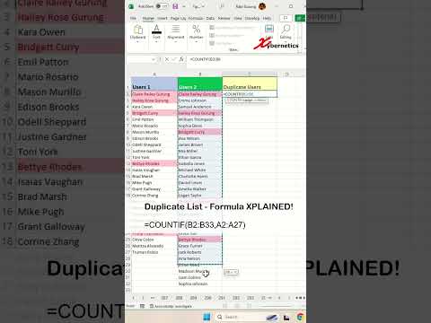 Summarize Duplicates in Excel - Excel Tips and Tricks