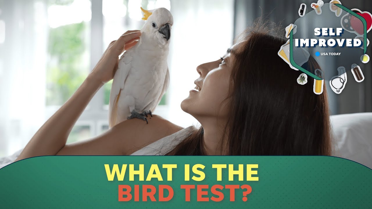How the bird test predicts if a relationship will last | SELF IMPROVED