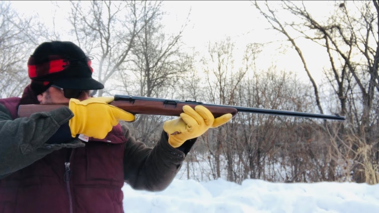 Winchester 74: 22 LR auto loader