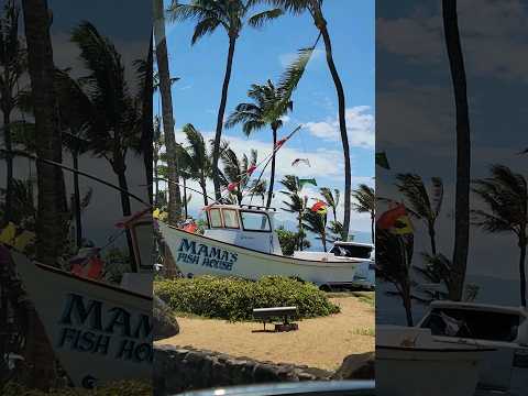 Mama's fish house restaurant #travel #nature #hawaii #mamasfishhouse