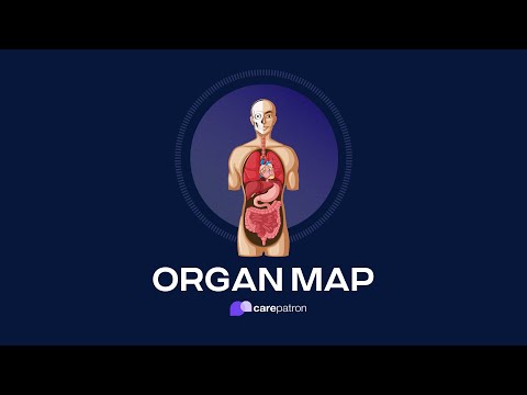 Organ Map