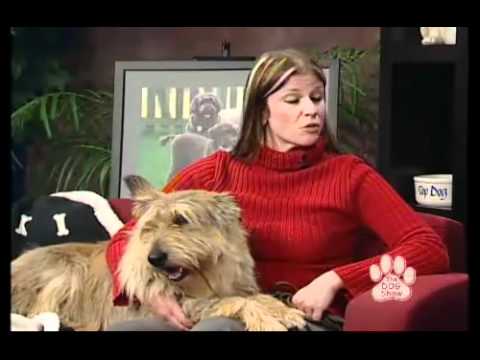 Honneur in the media: on the DOG Show with Jazz