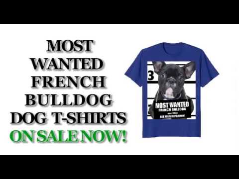 Most Wanted French Bulldog Cute Funny T shirt - Men's, Women's, Kid's - Blue, Heather Grey, Orange