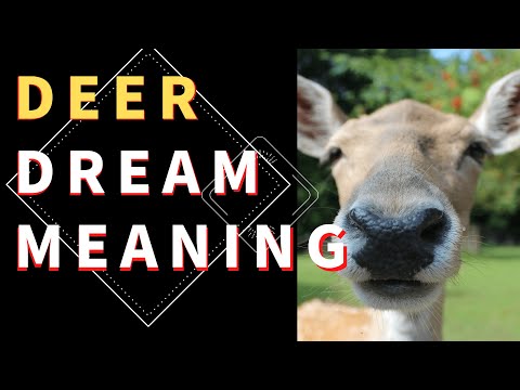 Dream about Deer: Unlocking the Hidden Meanings of Deer Dreams: Interpretations and Symbolism.
