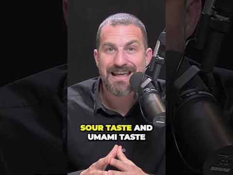 What is the umami taste? | Huberman