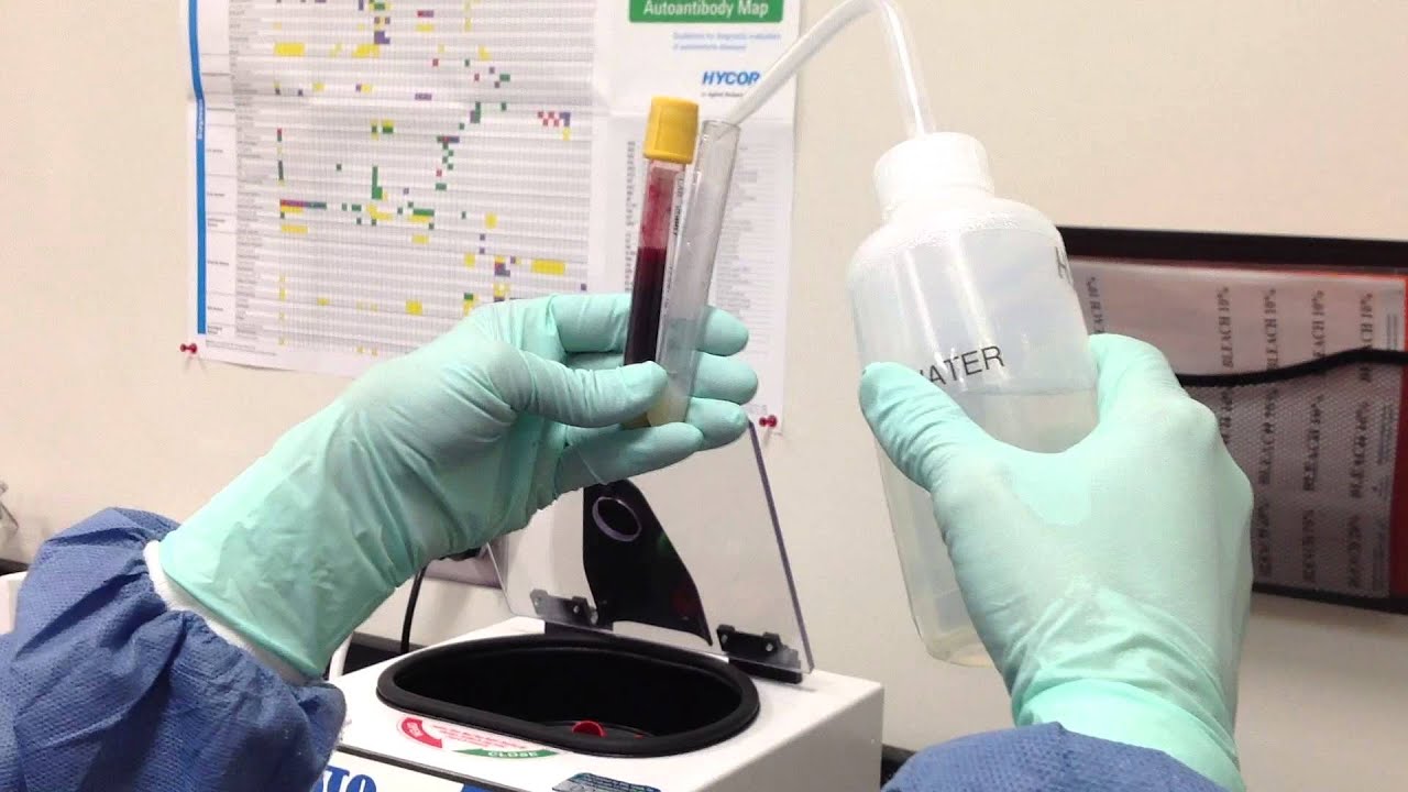 Specimen Processing 1