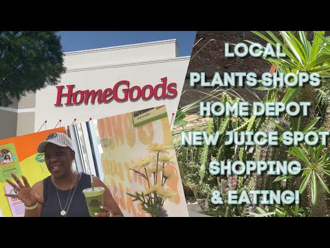 433: Plant Lifestyle: Local Plant and Home & Garden Shops | Good Eats + New Juice Spot | My Garden