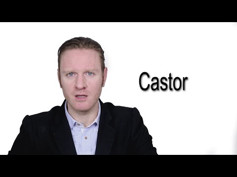 Castor - Meaning | Pronunciation || Word Wor(l)d - Audio Video Dictionary
