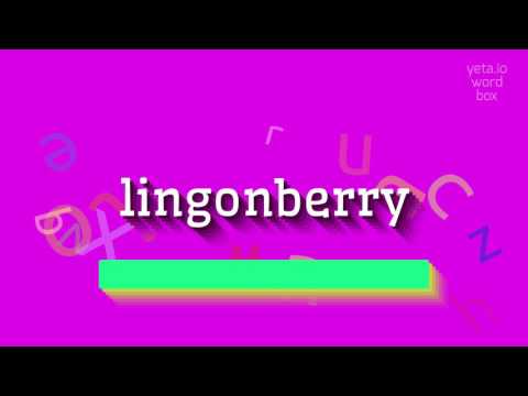 How to say "lingonberry"! (High Quality Voices)