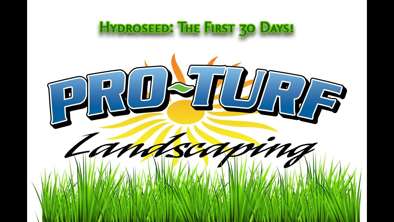 Hydroseed 30 Days Time Lapse | Pro-Turf Landscaping