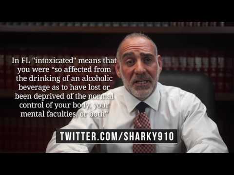 (175) What is Disorderly Intoxication / Conduct in FL? - Michael Haber Miami Criminal Defense Lawyer