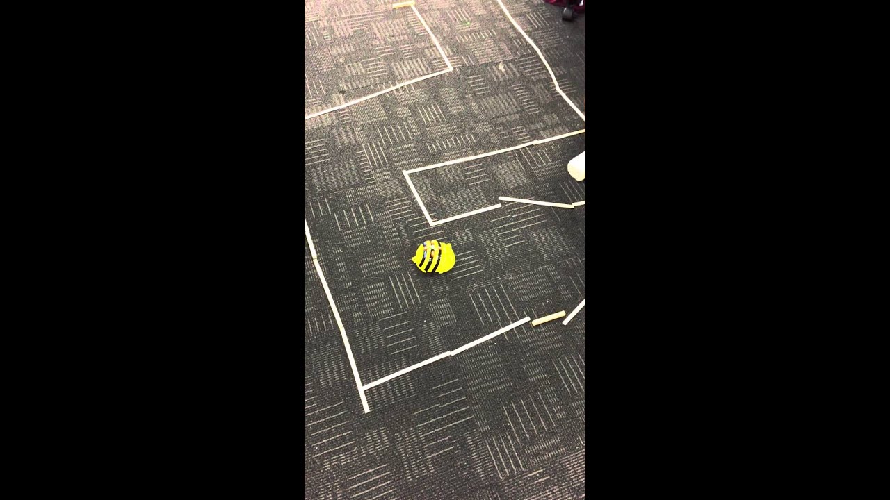 Year 2 Bee Bot Challenge 2D
