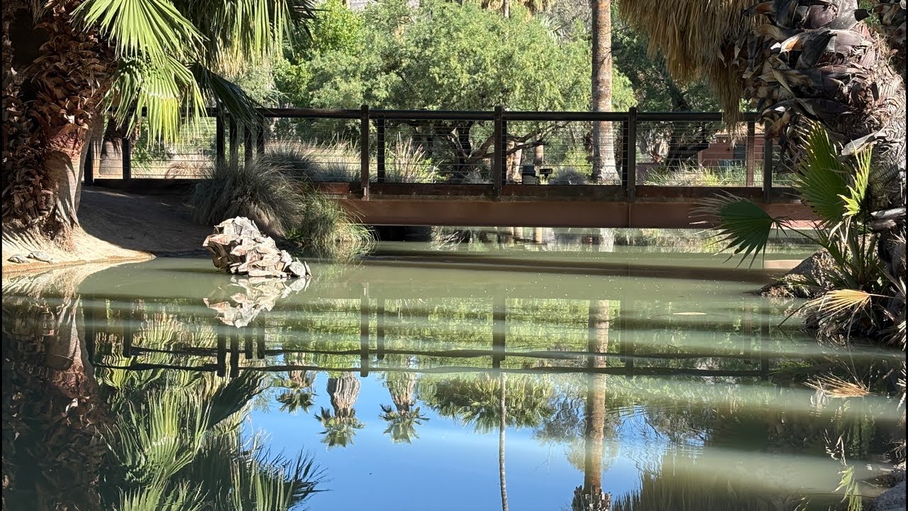 Psychic Mediums Say Nancy’s in the Water (Nancy Guthrie search)