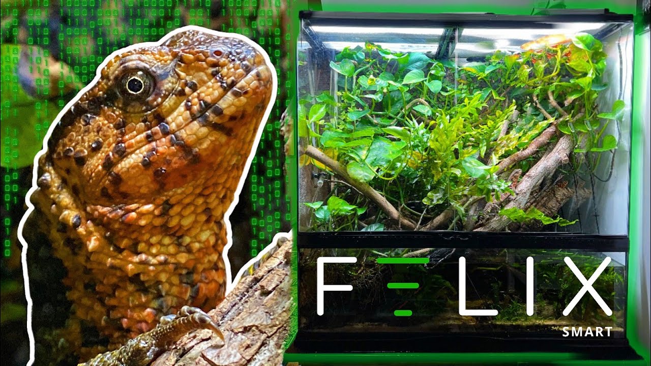 WORLD'S FIRST COMPUTER CONTROLLED TERRARIUM?! FELIX SMART UNBOXING + INSTALLATION