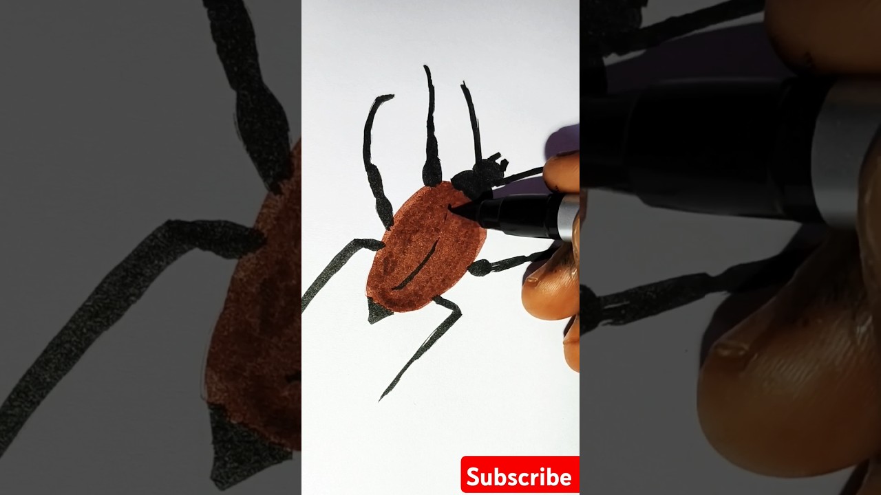 Beetle 🪲 drawing tutorial #beetle #insect #insects #creature #shorts #shortsfeed #shortsvideo #art