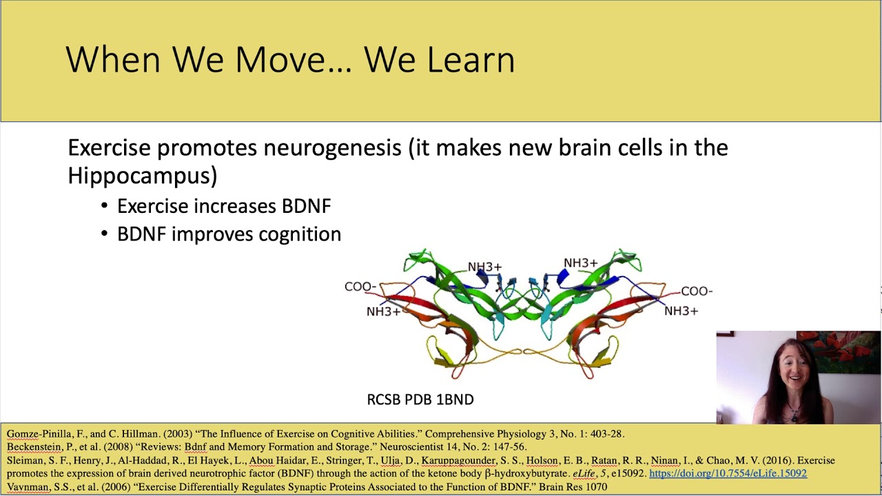 How the brain learns best