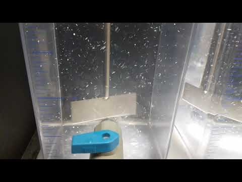 Sodium Alginate Initial Mix run #1
