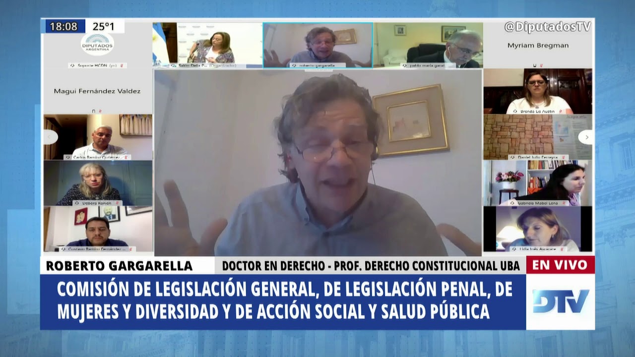 Gargarella, Roberto - Reunión Informativa por la ley IVE - 02-12-2020