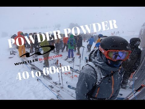 POWDER POWDER AGAIN at WHISTLER BLACKCOMB 40 to 60cm