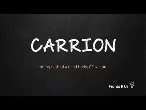 How to Pronounce CARRION in American English