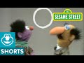 Sesame Street Kingston Watch HD Mp4 Video Download Free