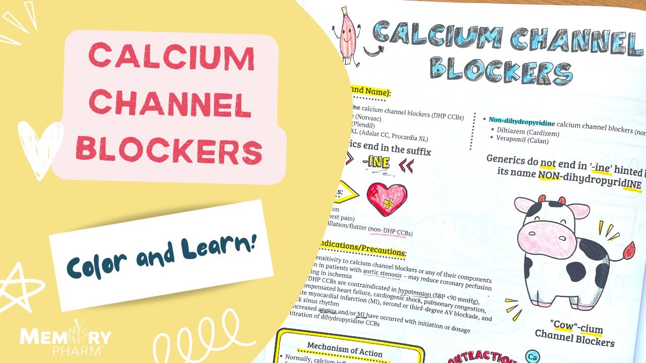 Calcium Channel Blockers Made Easy (Mnemonics, Mechanism of Action, Side Effects, Counseling)