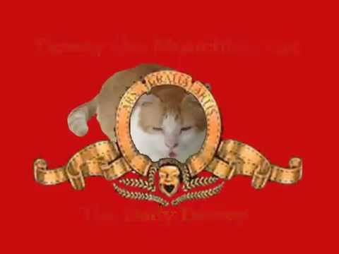 Dewey Le Chat Part8- (Dewey the Cat) Everyday Extras/ Finale