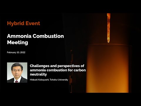 Challenges and perspectives of ammonia combustion for carbon neutrality